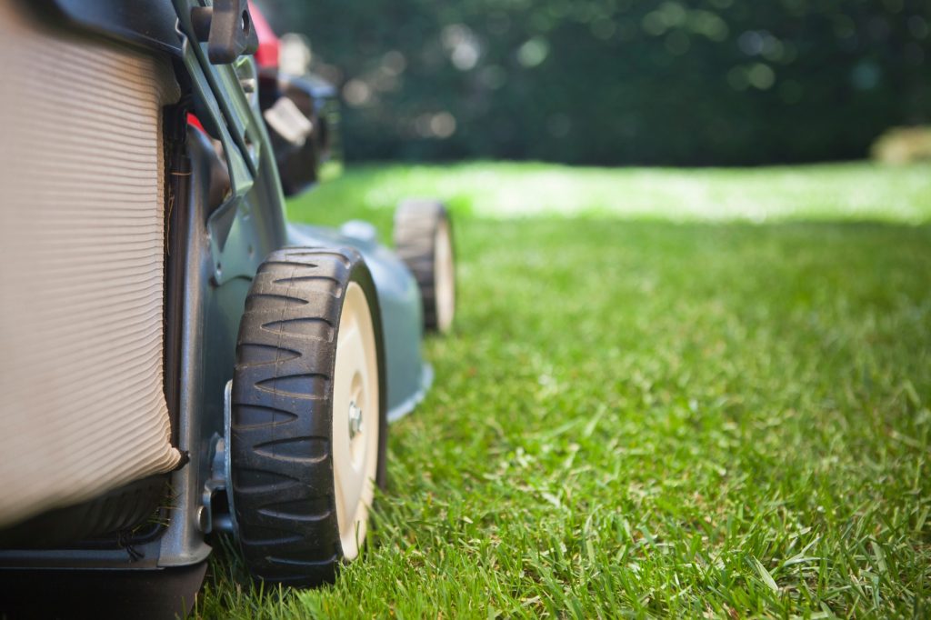 Lawn Cutting Services My Lawn Guy lawn-cutting-services-my-lawn-guy